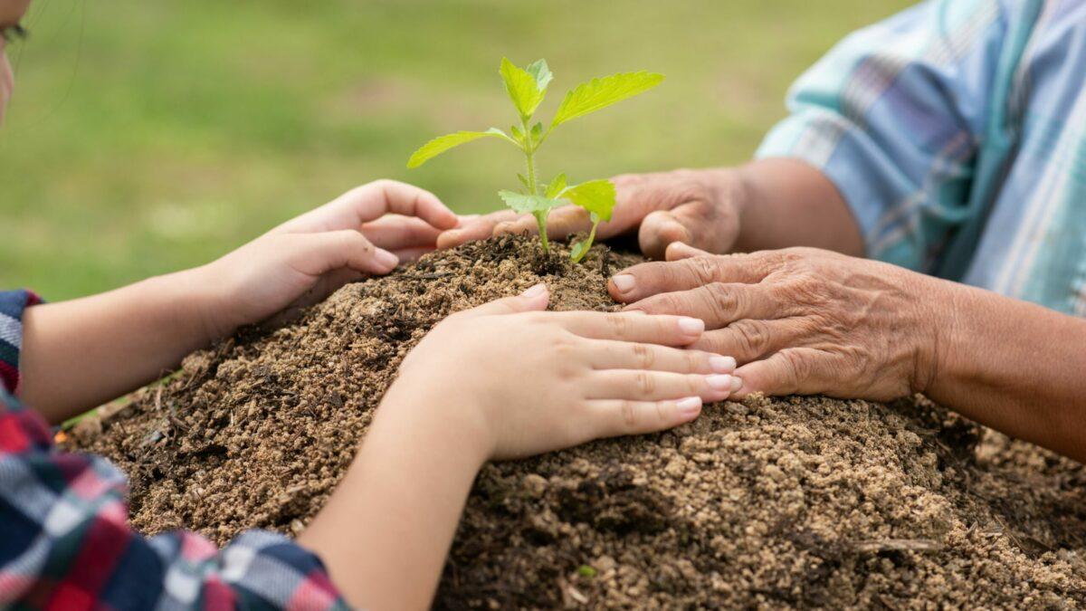 3 Contoh Program Corporate Social Responsibility untuk Dukung ...