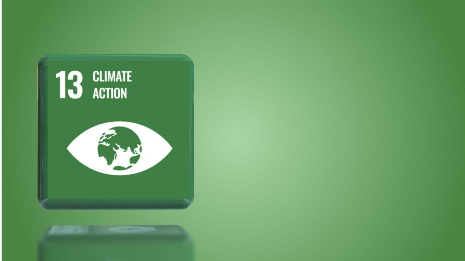 How Business Contribute to SDG 13: Climate Action | Satuplatform