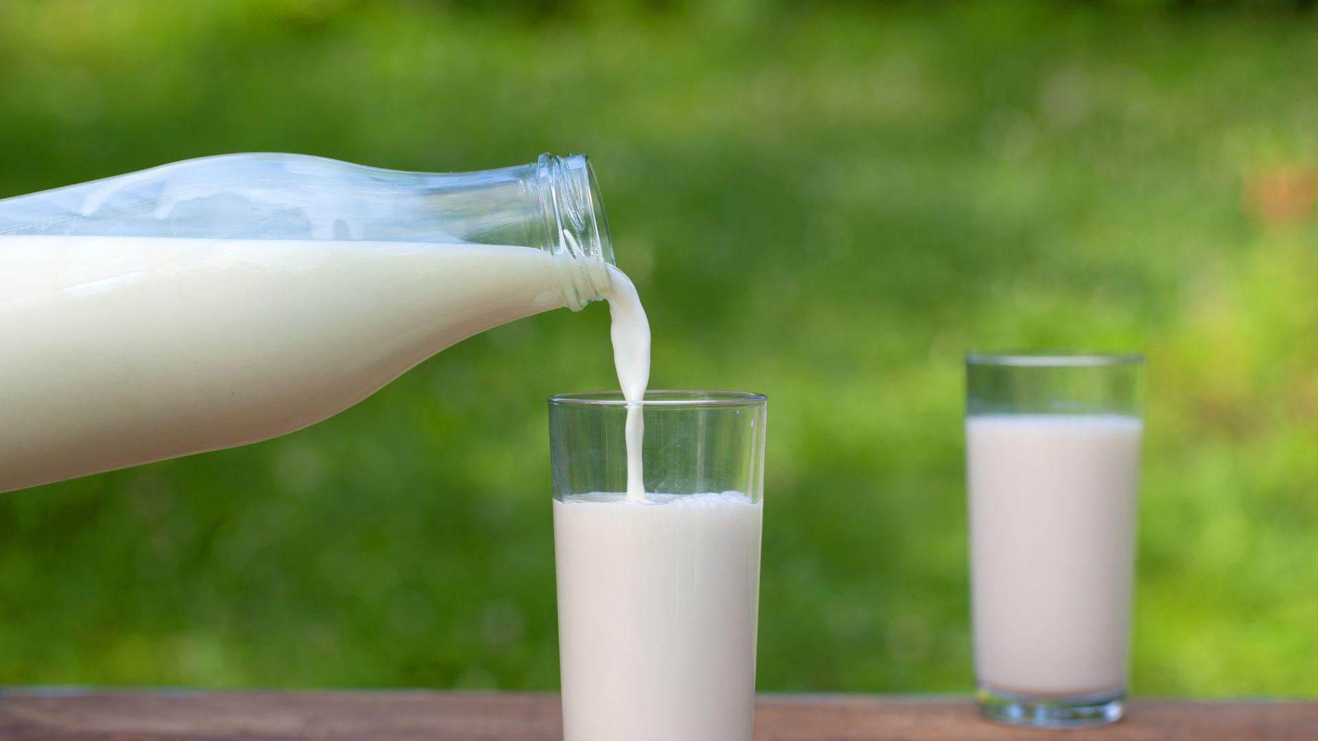 Sustainable UHT Milk: Balancing Nutrition, Packaging, and Environmental ...